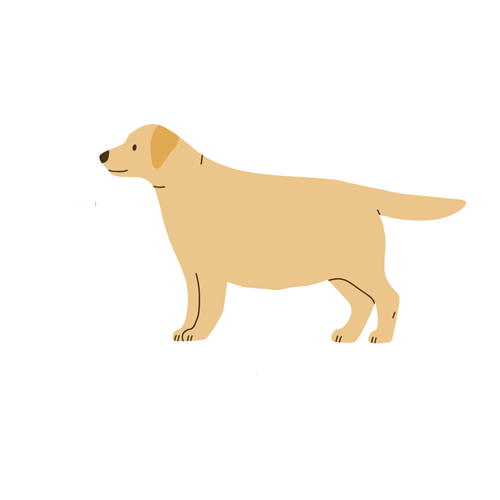 Hond Body Condition Score - Synopet | hond, kat, konijn & paard