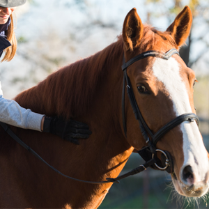 Horse Muscle Relax quickscan - Synopet | hond, kat & paard